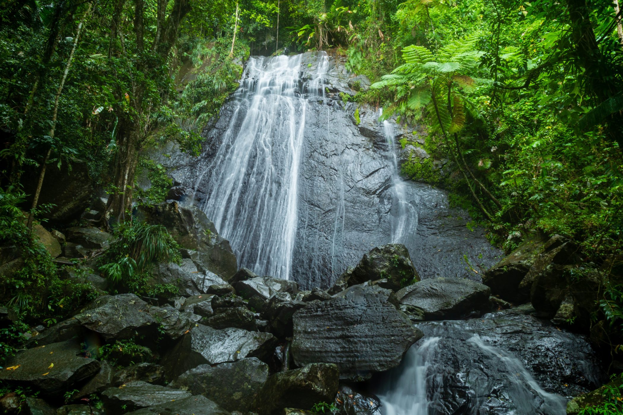 6 Puerto Rico Waterfalls You Have to Visit | PR Activities