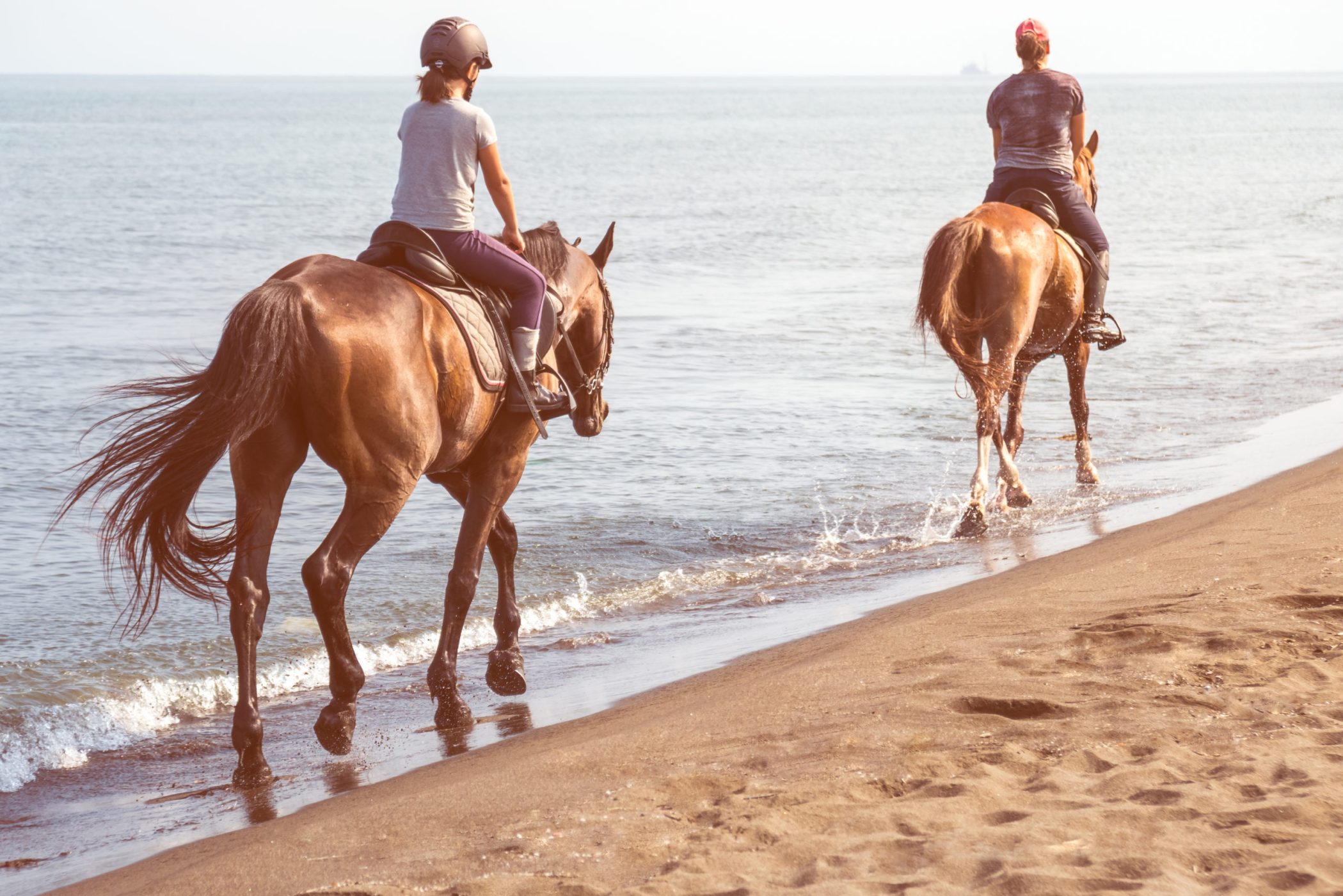 Go Horseback Riding on the Top Trails in Puerto Rico | Puerto Rico ...