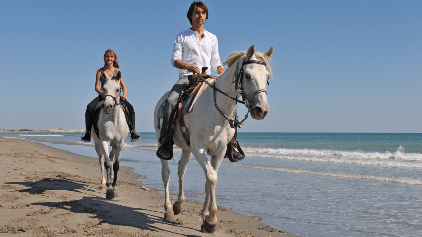 Horseback Riding Tours | Puerto Rico Activities