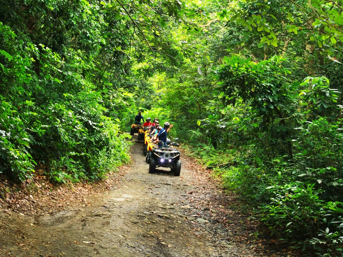 El Yunque National Park ATV/UTV Rides | PR Activities